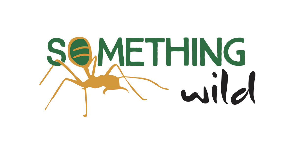 About – Something Wild Au