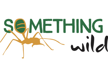 Products – Something Wild Au