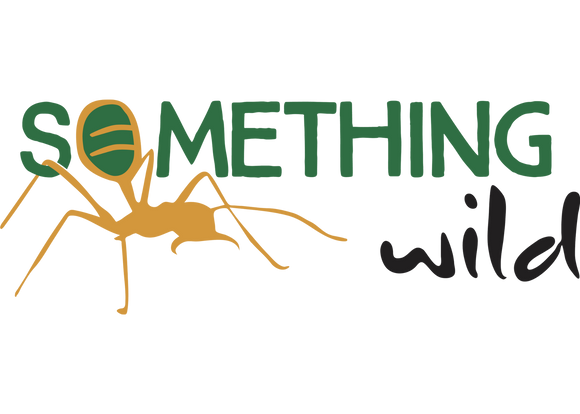 Catering & Events – Something Wild Au